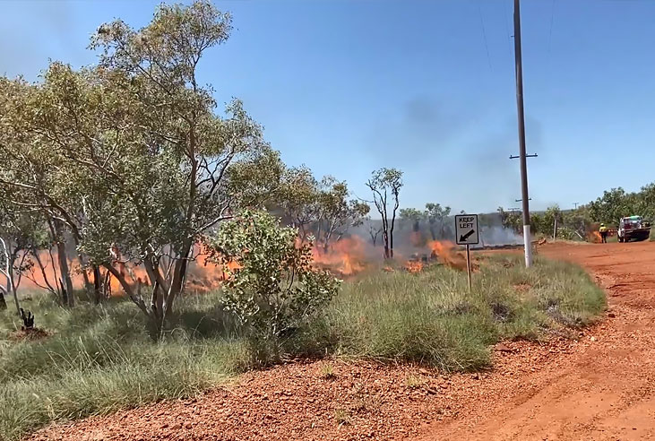 Fuel reduction burns to reduce the risk of bushfires