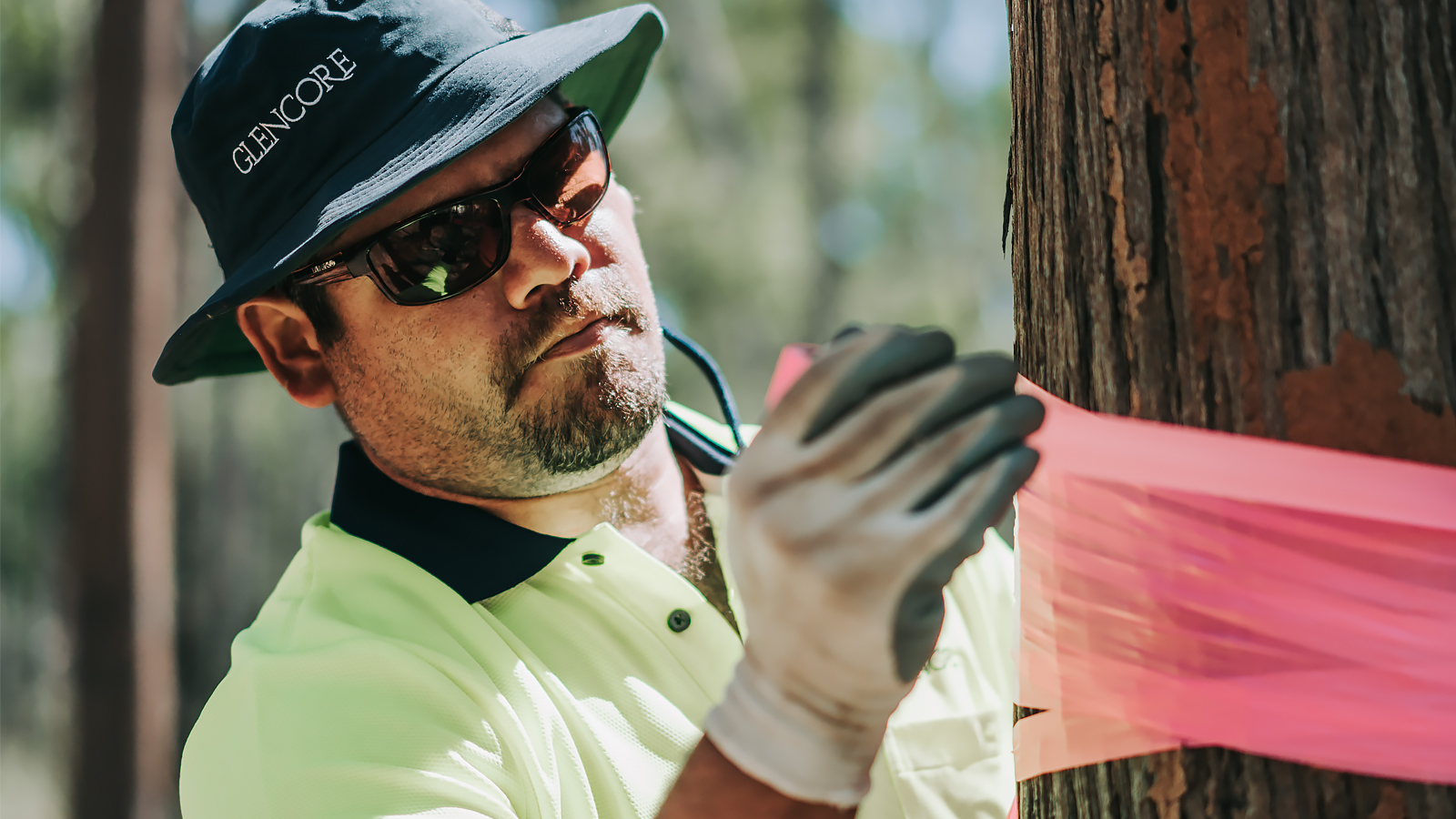 Brenda Mines's Instagram, Twitter & Facebook on IDCrawl