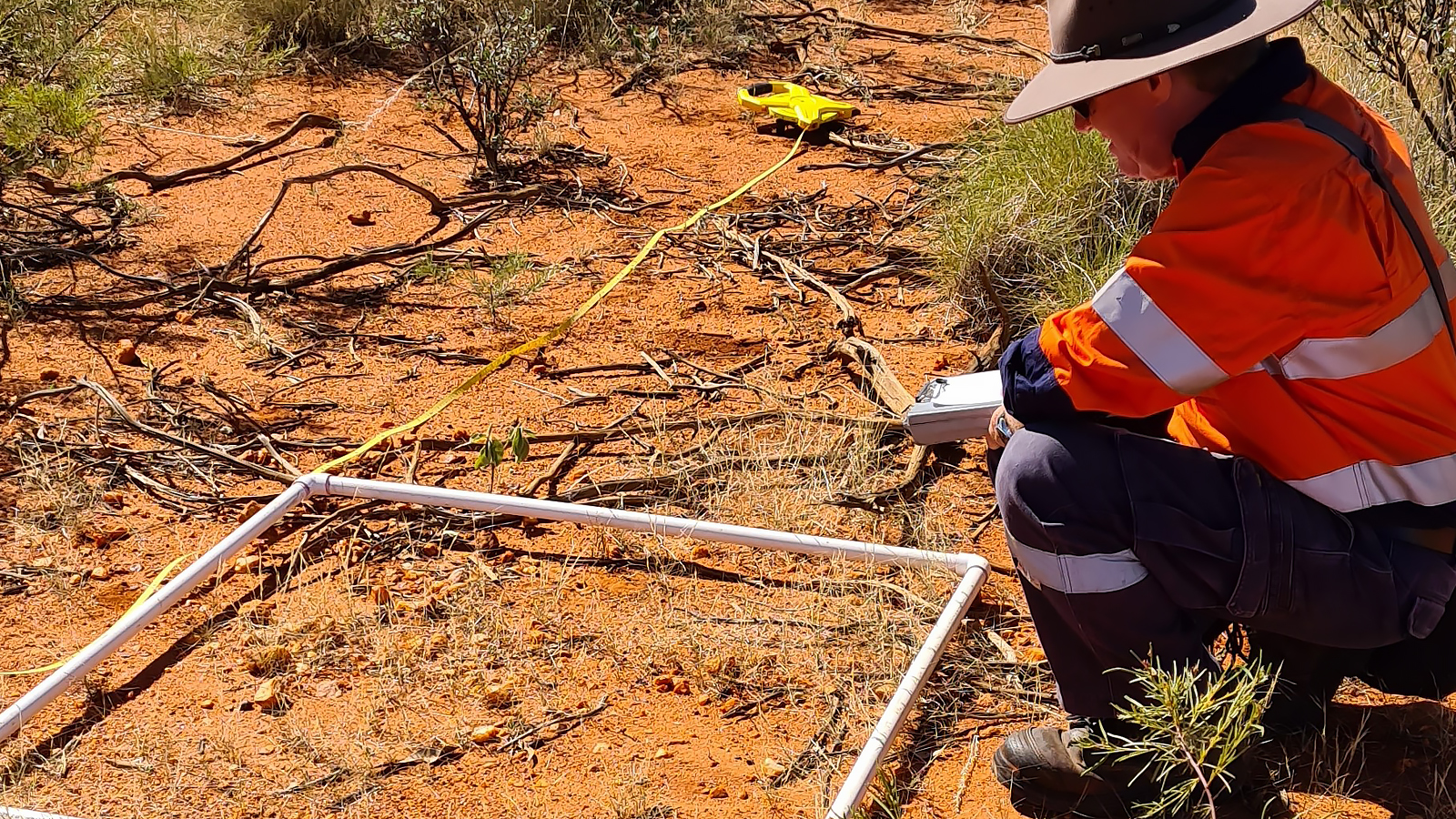 Field flora survey to give an overall view of ecosystem health