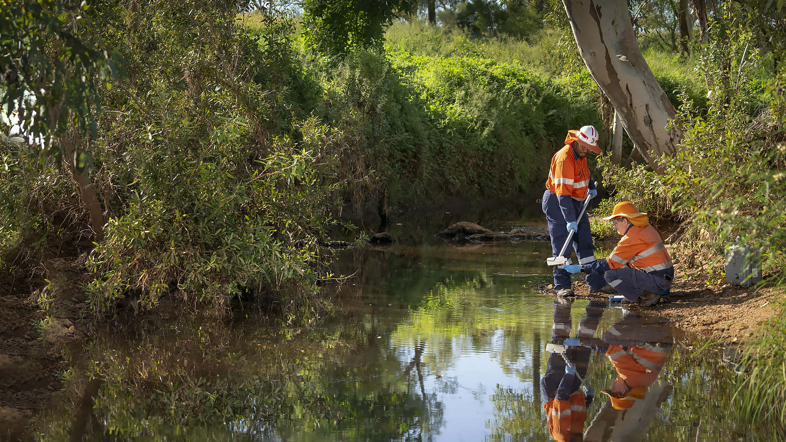 Biodiversity - the future of conservation is in our hands